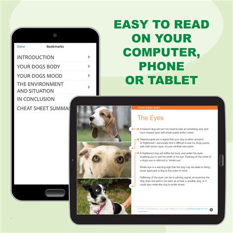 Dog Body Language 101 Guide Rescue Dogs 101