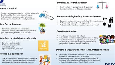 Ejemplos De Competencias Culturales Una Visión Inclusiva Y Enriquecedora