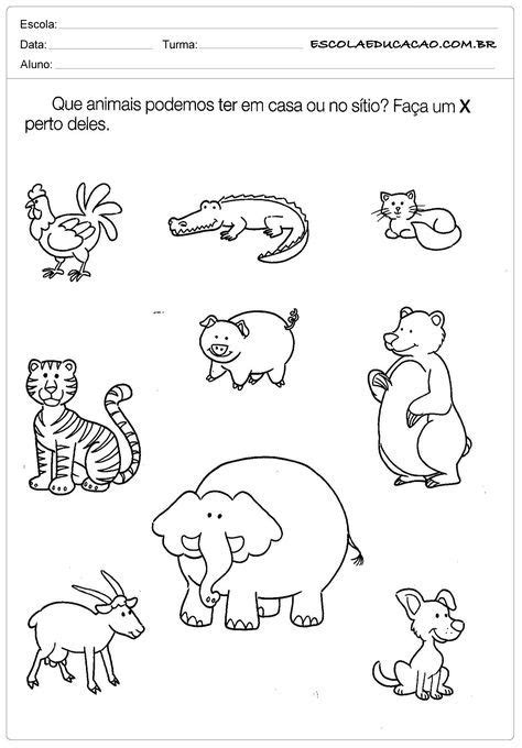Atividade de Ciências para Educação Infantil Selecionando os Animais