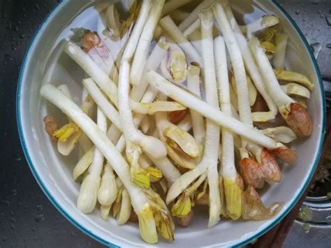凉拌花生芽怎么做 凉拌花生芽的做法 蓝洛凌 豆果美食