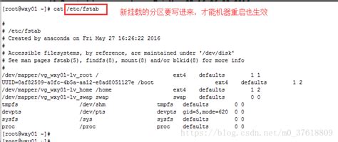 Linux 磁盘扩容并挂载 Csdn博客