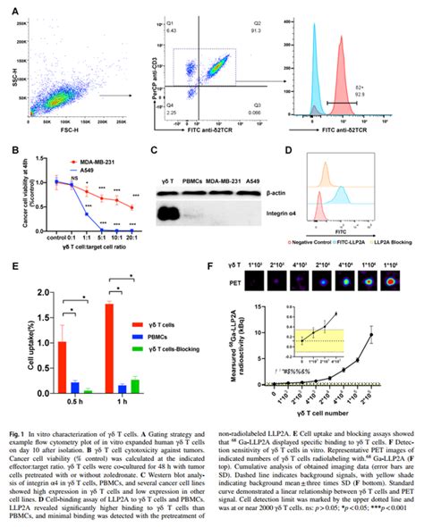 【最new情报！】vla 4靶向pet显像用于γδt细胞体内示踪和肿瘤治疗监测的实验研究 知乎