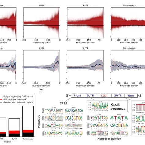 deep learning identifies the dna positions predictive of expression