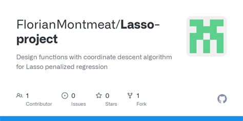 Github Florianmontmeat Lasso Project Design Functions With