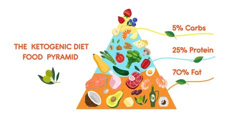 Use My Free Diet And Workout Planner Tool To Get The Perfect Program