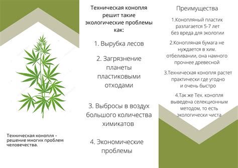 Техническая конопля польза для современного мира | Пикабу