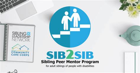 Sib2sib Sibling Peer Mentor Program Sibling Leadership Network