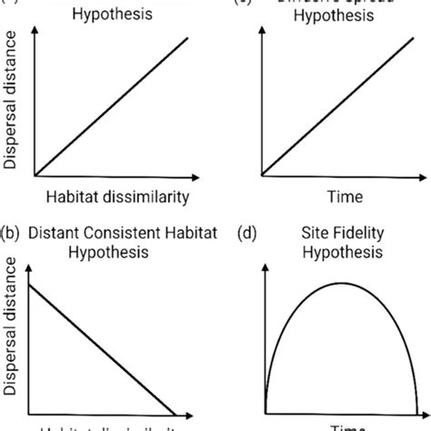 Conceptual Diagram Illustrating Multiple Hypotheses For The