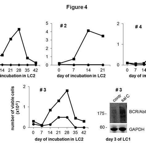 Salarin C Inhibits Culture Repopulation Ability Of Primary Cml Cells Download Scientific