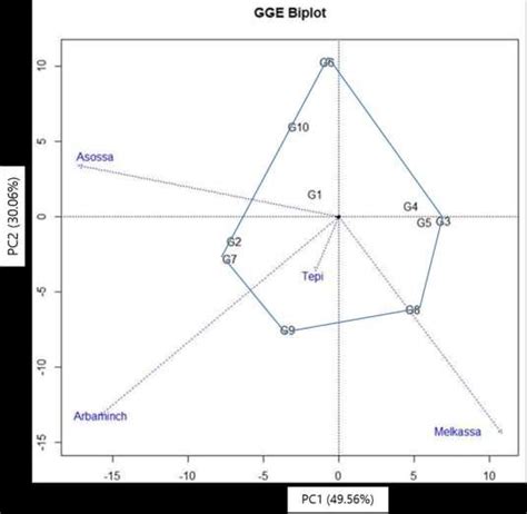 Gge Biplot Showing The Relationship Among The Four Test Locations Based Download Scientific