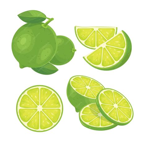 Premium Vector Green Lemon Fresh Isolated