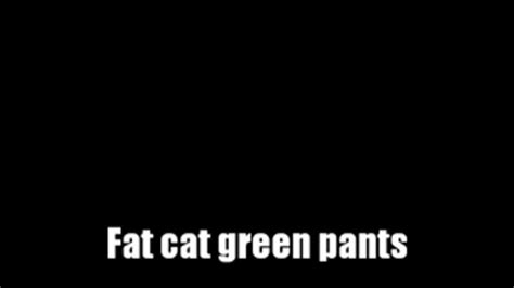 Fat Cat Camel Toe Fetishfunhouse Clips4sale