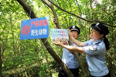 浙江台州宣传保护野生动物 人民图片网