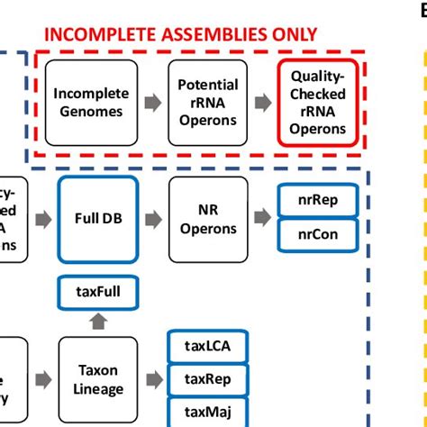 Primer Sequences Used For In Silico Pcr Analysis Download Scientific