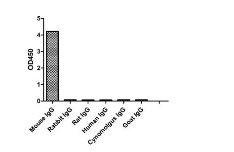 Anti Mouse Igg2bfcγ Fragment Specific Alphcabs® Goat Antibodyhrp