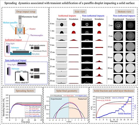 Transient Solidification Dynamics Of Molten Droplets Impacts Of Substrate Properties And