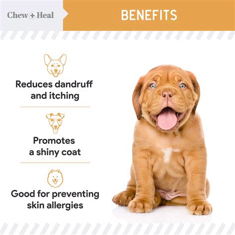 Chew Heal Omega Skin Coat Dog Supplement