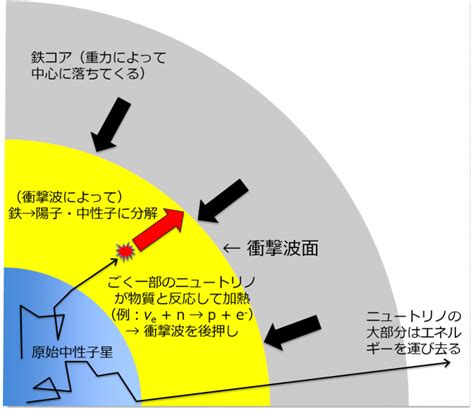 星の最期は内部構造がカギを握る－超新星爆発が起こる理由は質量の大きさだけではない 計算基礎科学連携拠点