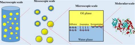 评价乳液稳定性的多尺度组合技术：批判性综述advances In Colloid And Interface Science X Mol