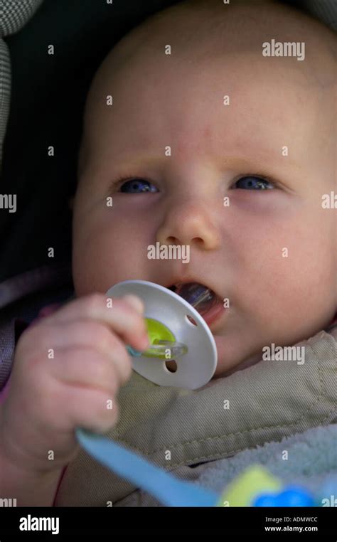 Pacifier Simple English At Tracy Cline Blog