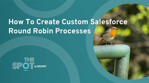 How To Create Custom Salesforce Round Robin Processes The Spot