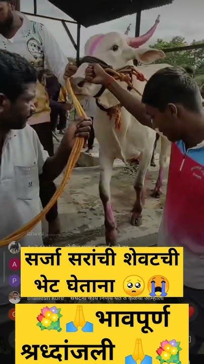 सर्जा सरांची शेवटची भेट घेताना 🥺 Youtube