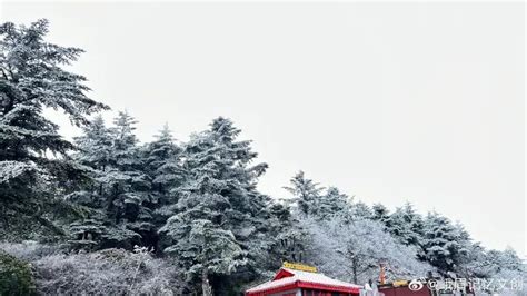 下雪啦四川多地加入下雪群聊 新华网客户端