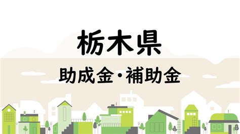 【2024年・栃木県】令和62024年度海外販路開拓・拡大支援事業費補助金の事業計画【補助金・助成金】