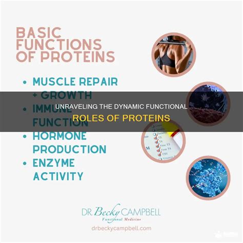 Unraveling The Dynamic Functional Roles Of Proteins Medshun