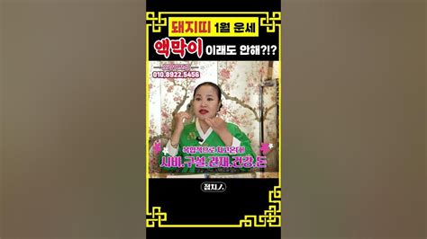 25년 1월 돼지띠운세 시비 구설 관재까지 액막이 하고 가는 것이 좋다 95년생 83년생 71년생 59
