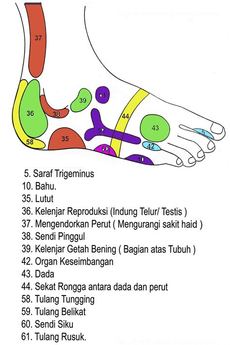 Konsep 40 Gambar Refleksi Kaki