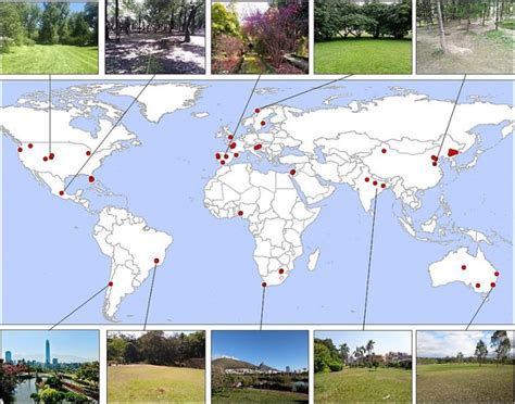 我室在土壤生物多样性支撑城市绿地生态系统功能研究中取得进展 土壤与农业可持续发展国家重点实验室