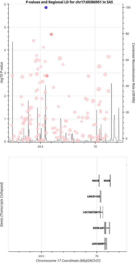 Dr Swarkar Sharma On Linkedin Sox9 Gene Shows Association With