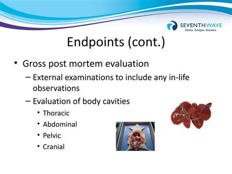 session 2 part 3 ppt