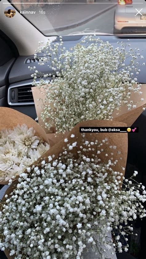 D On Twitter Https T Co WoeN WDv Twitter