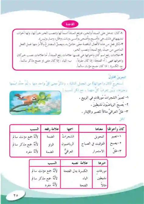 املأ الفراغات التالية بما يناسبها ، واضبط اسْمَ كان وأخواتها وخبرها
