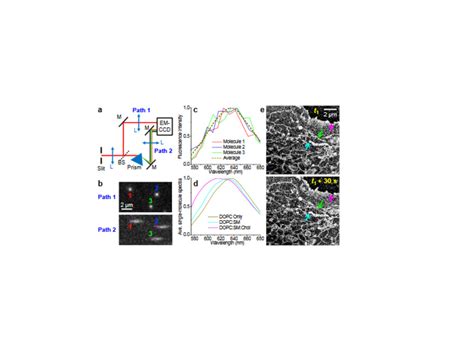 Spectrally Resolved Functional Super Resolution Microscopy Reveals