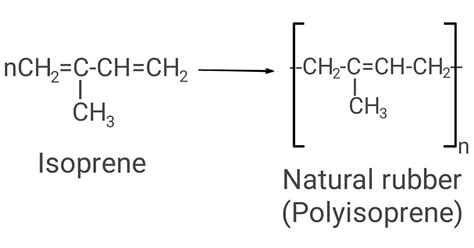 Natural Rubber Polyisoprene