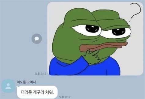 한국에선 잘 모르는 개구리 페페 밈