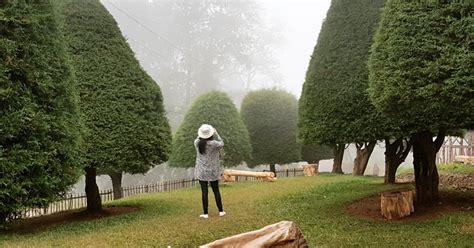 Bukit Jamur Ciwidey Bandung Lokasi Dan Harga Tiket Masuk