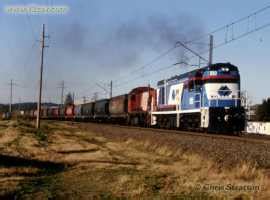 EEG Locomotives D46 K Class