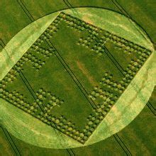 Binary Code Crop Circle Wiltshire England UK From Patty Greer Films CROP CIRCLE FILMSCROP