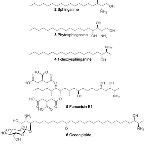 Pdf Hypoculoside A Sphingoid Base Like Compound From Acremonium