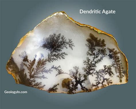 Dendritic Agate Composition Properties And Uses Geology In