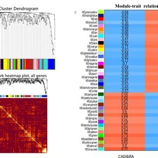 Identification Of Gene Co Expression Networks Modules And The