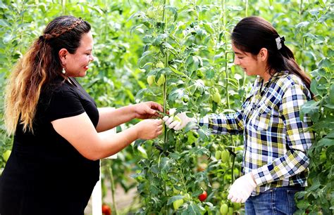 Alumnos Facultad De Agronomía Uanl