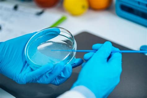 Premium Photo Food Safety Testing In Microbiology Laboratory
