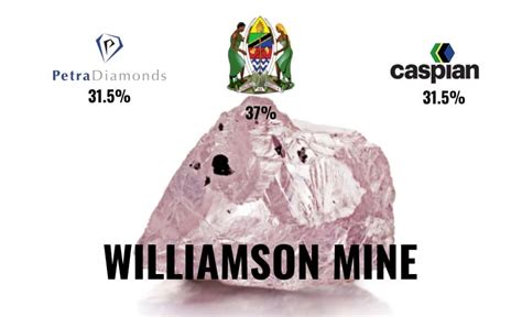 Tanzania Government To Double Shareholding In Williamson Diamonds Mine