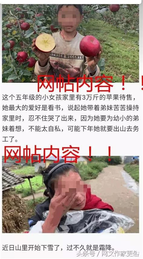 蘋果滯銷急哭大爺，女孩的這些慘文，不過是一場悲情營銷 每日頭條