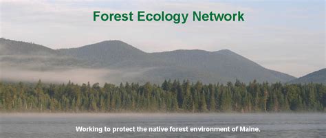 Forest Ecology Network Home Page